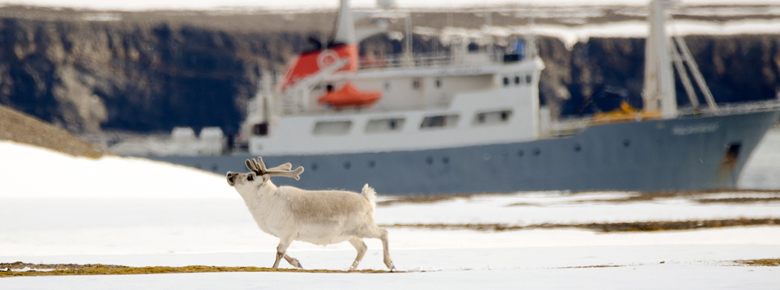 Worldwide Quest - Svalbard Explorer